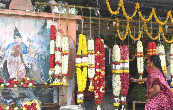 Seek Process: Seek Supply Chain WHERE – Seek Collective